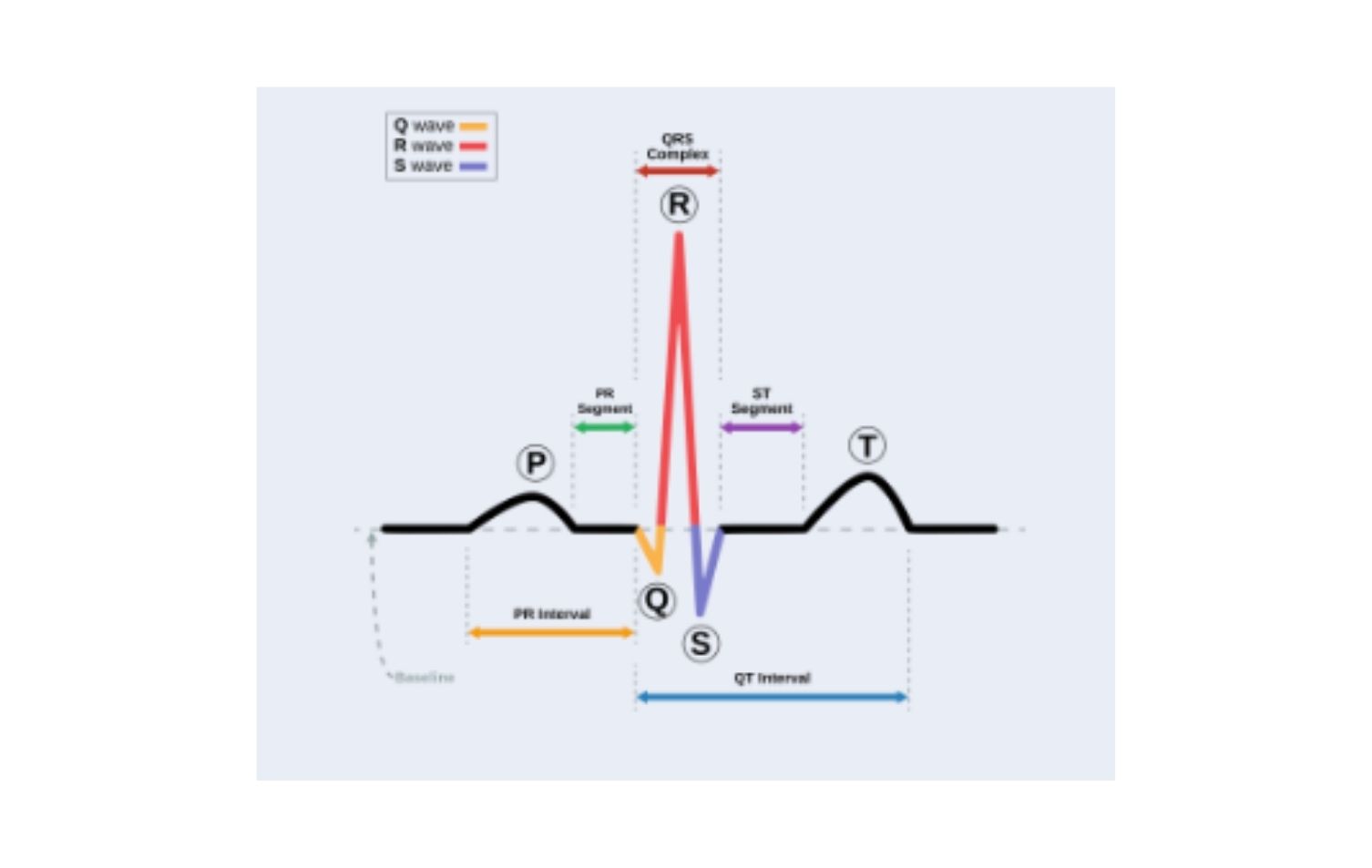 NUCPD017 Introduction and Basic Principles of an ECG - EMS Education ...