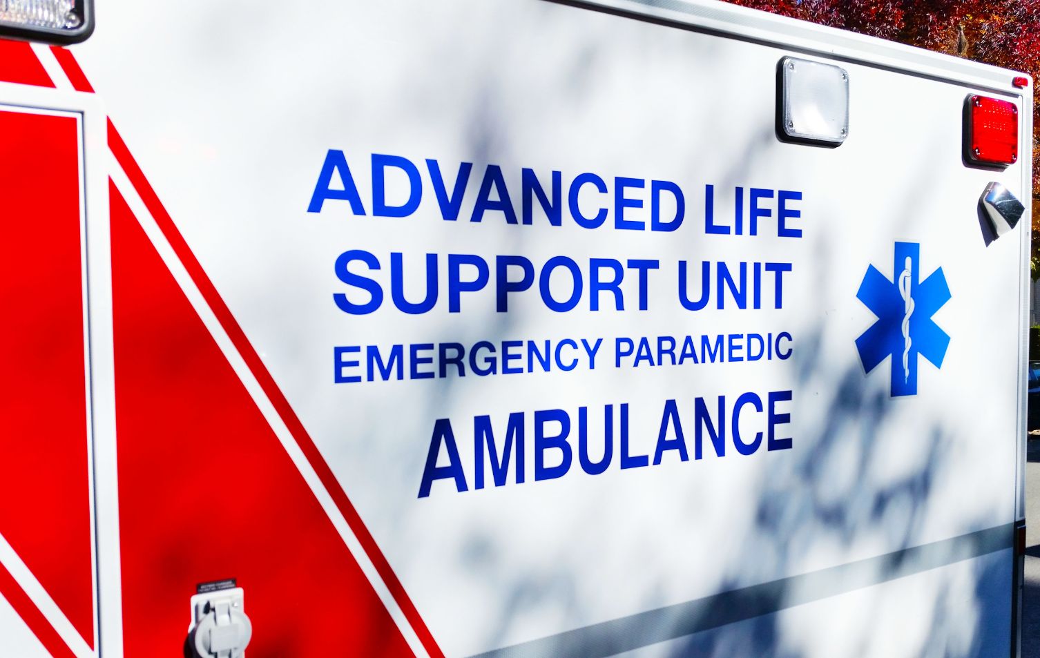 ECCPD164 Paediatric Advanced Life Support - An introduction - EMS ...