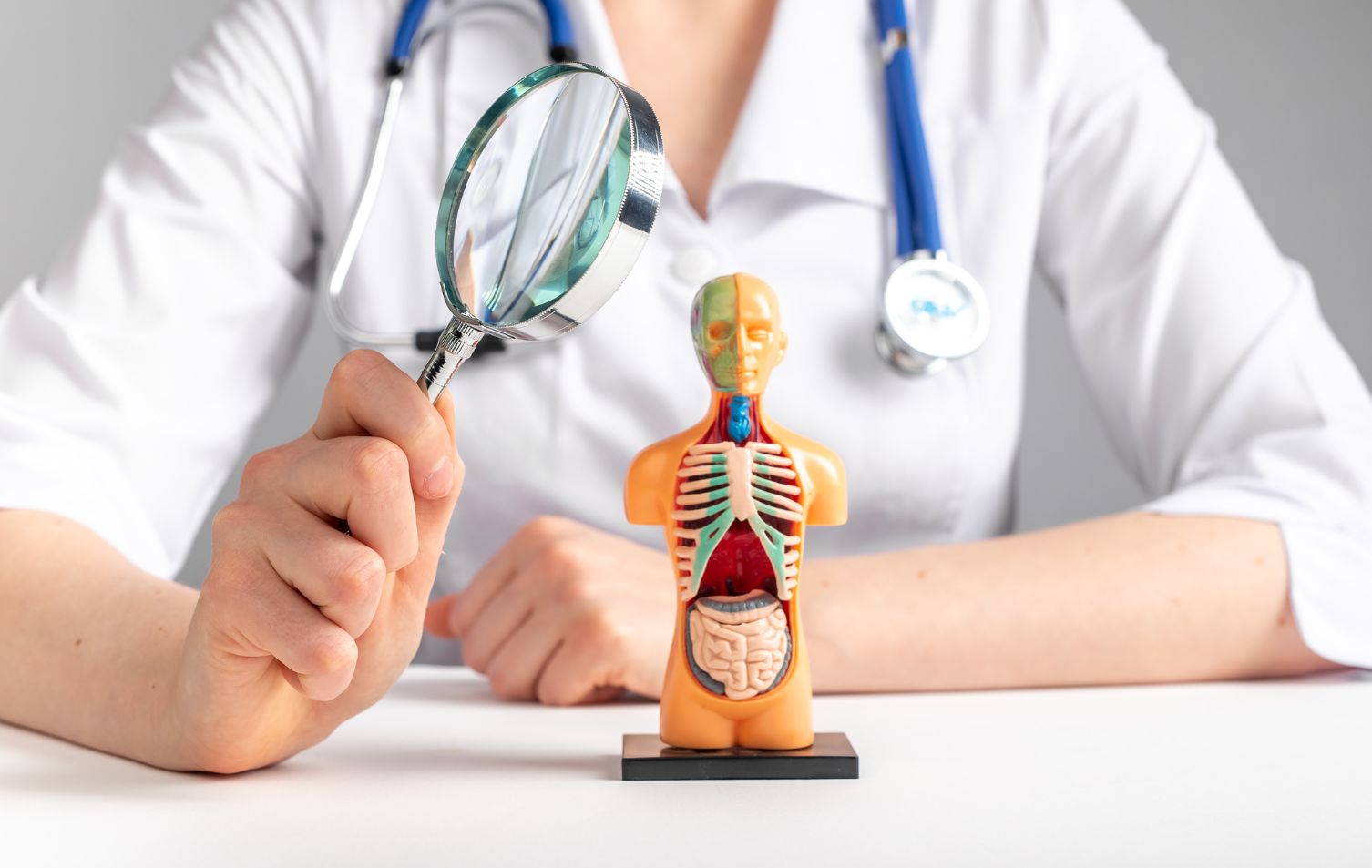 ECCPD176 Recognising Healthy Body Systems - EMS Education & Training