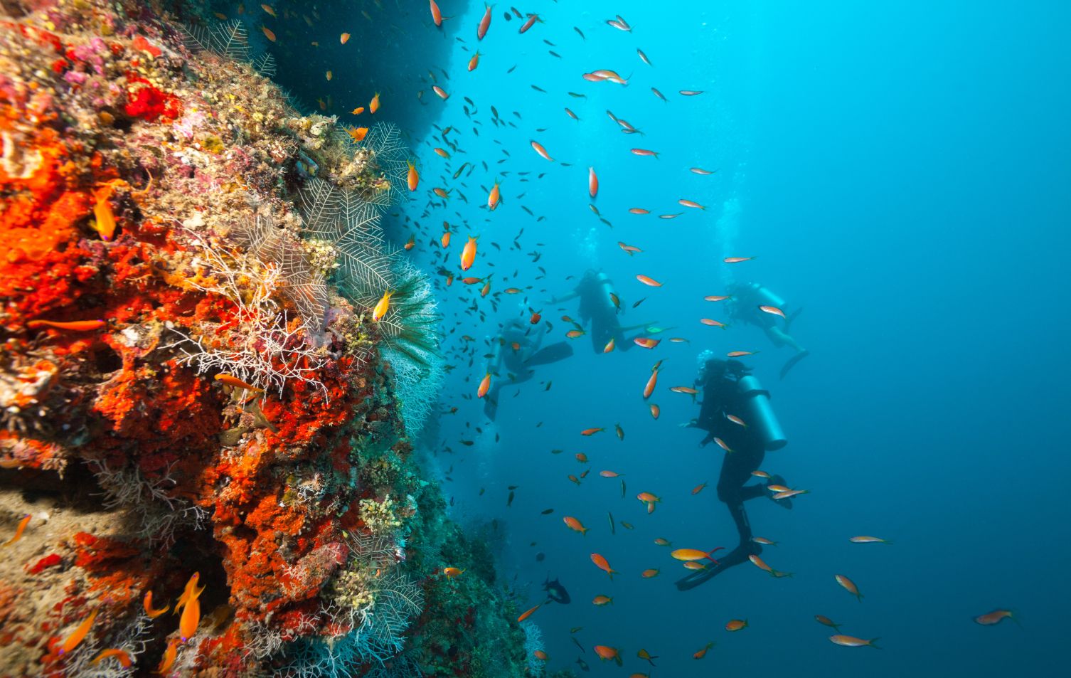 FACPD027 First Aid for Scuba Divers - EMS Education & Training