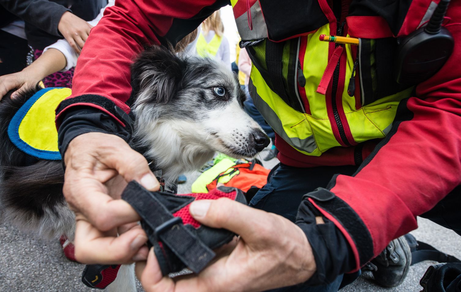 FACPD008 First Aid for Search and Rescue Personnel - EMS Education ...